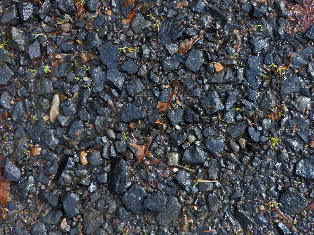 PNW geology links - nwnature.net