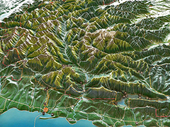 Hurrican Ridge, WA - nwnature.net